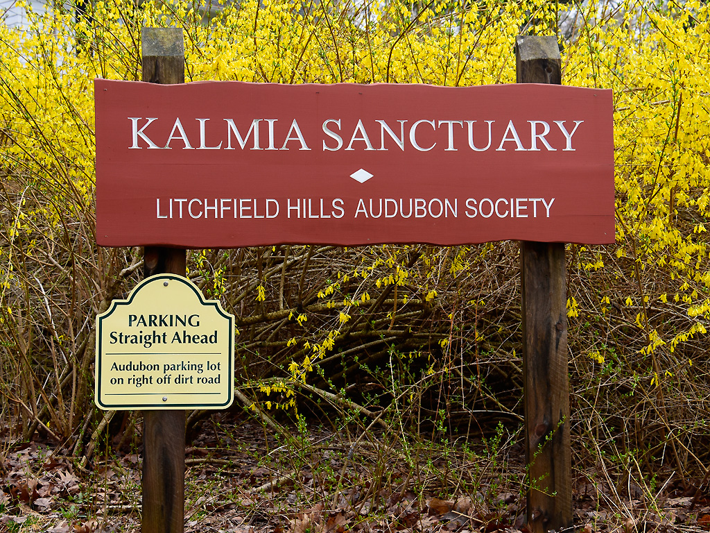 Kalmia Sanctuary - Litchfield Hills Audubon Society